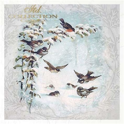 Birds Rice Paper Set Crafty Wizard