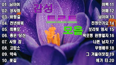 상큼한 트로트 메들리 트로트 신곡 메들리 Playlist Youtube