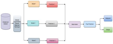Diagnostics Free Full Text Breast Cancer Classification Through