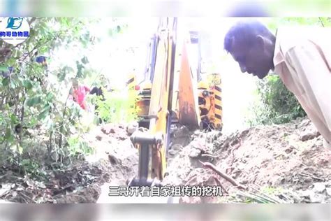 大象不慎掉落深井，全村人跑来商讨，印度三哥开挖掘机救援