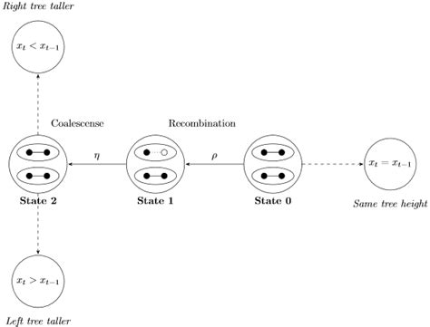 Tikz Pgf Draw A Paired Dna Sequence Inside A Markov Chain Node TeX LaTeX Stack Exchange