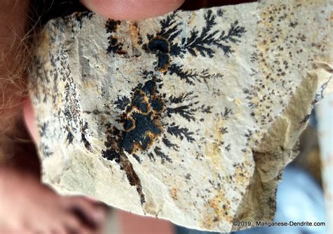 Manganese Dendrites Rocks With Pictures