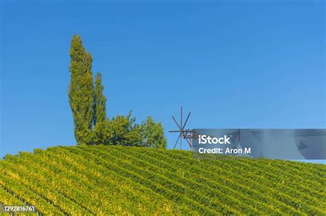 오스트리아와 슬로베니아 국경에 위치한 매력적인 지역인 사우스 스티리안 와인 로드를 따라 있는 포도밭과 풍차 녹색 언덕 그림 같은 마을 와인 선술집이 있는 매력적인 0명에