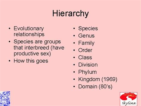 Taxonomy And Classification Of Microbes Taxonomy Science Of