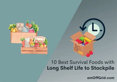 10 Best Survival Foods With Long Shelf Life To Stockpile