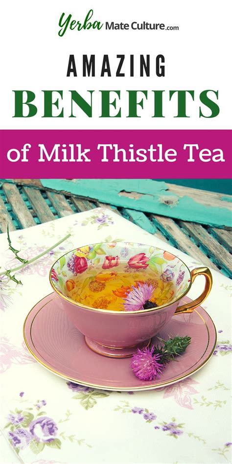 What Is Milk Thistle Tea Health Benefits And Side Effects Artofit