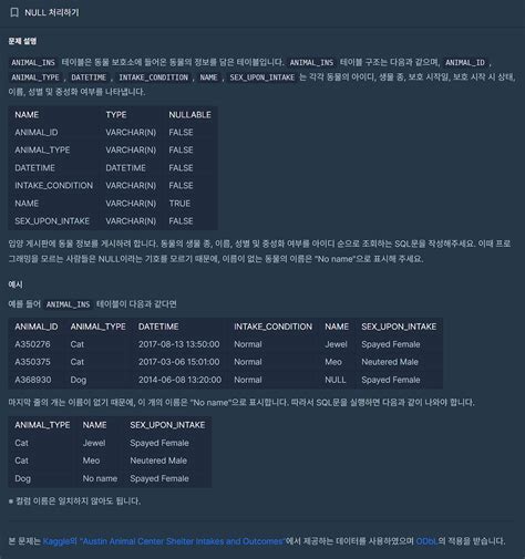 프로그래머스 Lv1 NULL 처리하기 MySQL