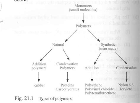 Polymer Classification Pdf