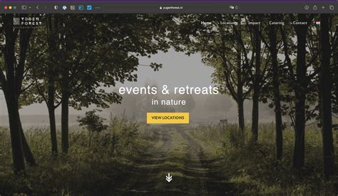 Elementor Headings In English Version Of The Website Does Not Show