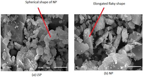 Micrograph Images Of A LSP And B NP Download Scientific Diagram