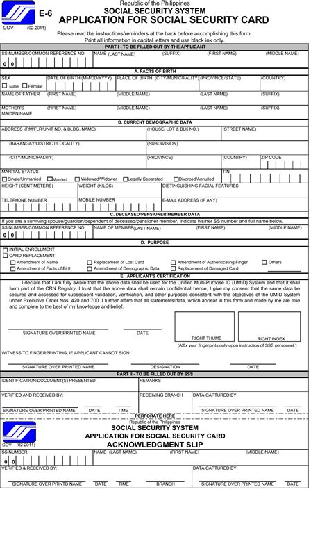 E6 Form Sample Fill Out Printable PDF Forms Online