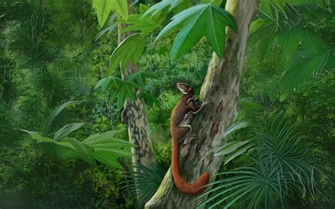 62 Million Year Old Fossil Reshapes Story Of Mammals Evolution After Dinosaurs