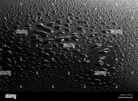 Water Background On Black Dew Texture Of Water Drops Condensation On