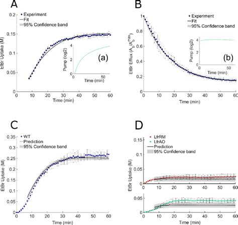 Application Of Model To Wt And Laboratory Generated Strains A Download Scientific Diagram