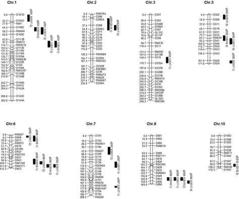 Qtl Responsible For The Seed Setting Rate Detected By Multiple Interval