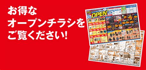 Pro Open