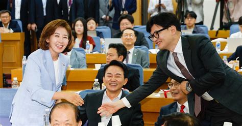 與 당권주자별 조력그룹 윤곽韓 비대위 元 혁신위 羅 무계파