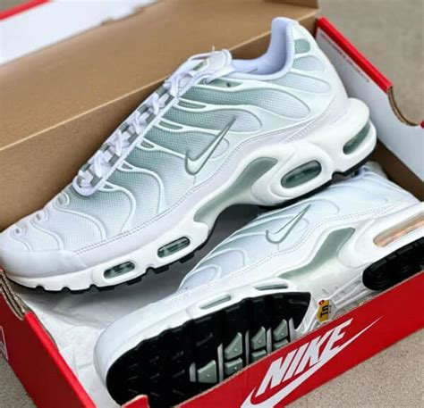 Nike Air Max Plus TN1 Mica Green dégradé vert pâle DZ3670 100
