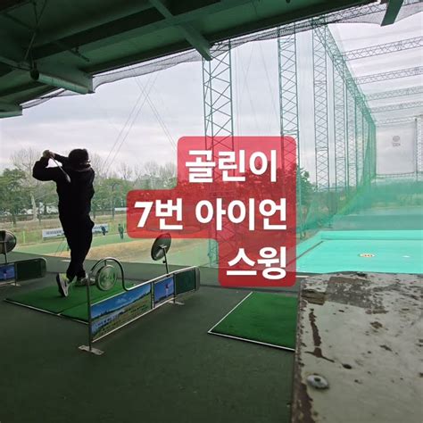 골린이 7번아이언 스윙 점점 안정적이고 탄도도 뜨고 거리도 135전후 골프 7번아이언 아이언 골린이 Youtube