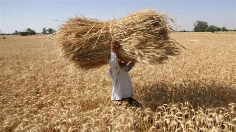 Explained Why Farmers Are Protesting Again And What Are Their Demands