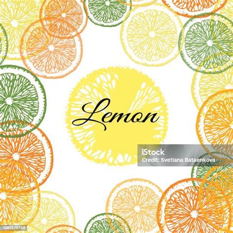 오렌지 과일 라임 귤 레몬의 조각으로 감귤 류의 배경 텍스트에 대 한 장소입니다 벡터 일러스트입니다 0명에 대한 스톡 벡터 아트 및 기타 이미지 Istock