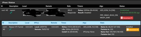 Adding Ipv6 Dual Stack To Ipv4 Ipsec Tunnel Netgate Forum