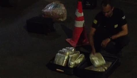 Garota De Programa é Presa Com Mais De 15 Kg De Skunk Em ônibus Que