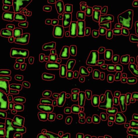SpaceNet Datasets