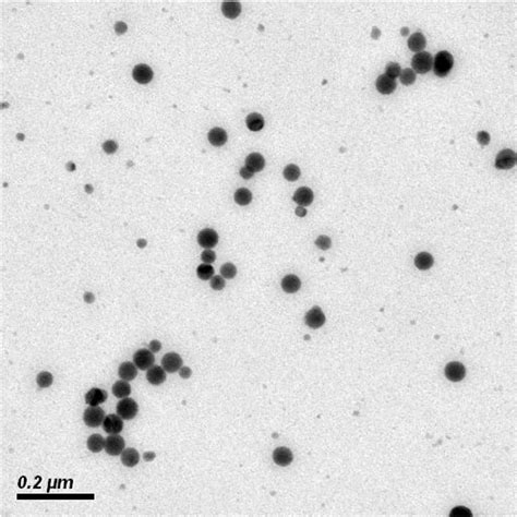 Selenium Enriched Marine Polysaccharide Composition And Preparation Method Thereof Eureka
