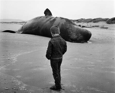 Exploding Whale 