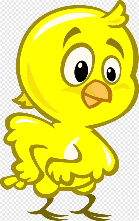서 노란색 조류 예술 일러스트 레이 션 치킨 Galinha Pintadinha Pollito Amarillito