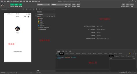 微信小程序入门及开发准备，申请测试号以及小程序开发的两种方式，目录结构说明小程序测试号 Csdn博客