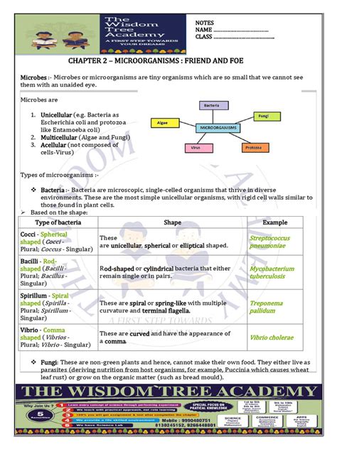 Microorganisms Friend And Foe Class 8th Pdf Microorganism Virus