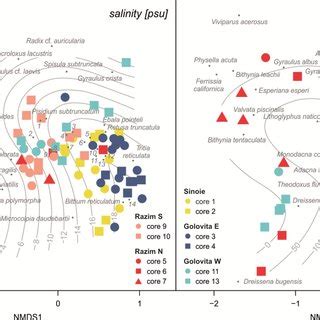 NMDS Ordination Plot Of Species Compositions Across Samples Grouped