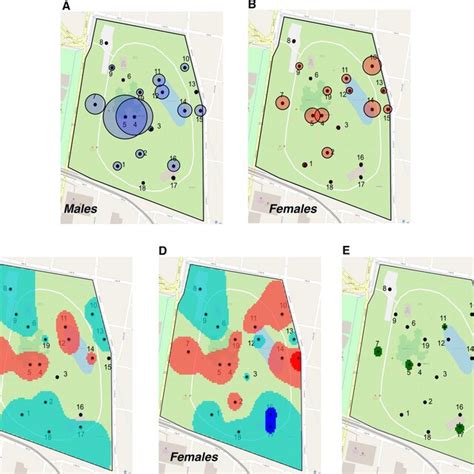 Spatial Distribution Of Adult Aedes Aegypti And Aedes Albopictus In The