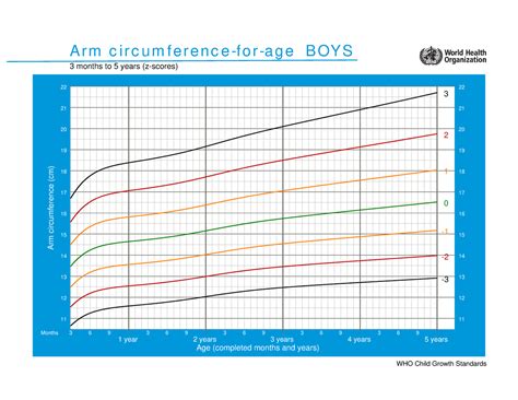 Arm Circumference Chart At Jessica Jasso Blog