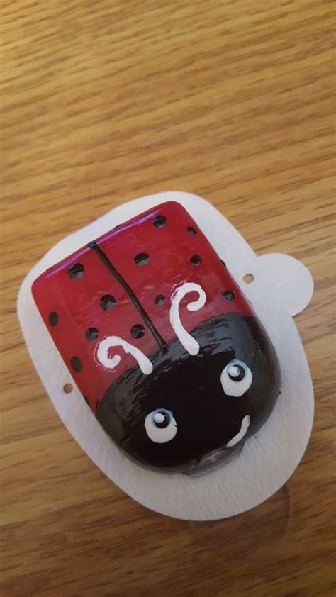 Ladybug Pod Omnipod Decorations Omnipod Designer Pumps