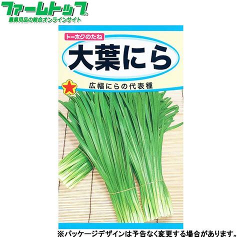トーホク 野菜の種種子 ニラ 大葉にら 内容量5ml 種 （追跡可能メール便発送 全国一律370円）03076 ファームトップ 通販