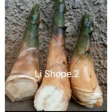 Jual Rebung Atau Iwung 1kg Shopee Indonesia