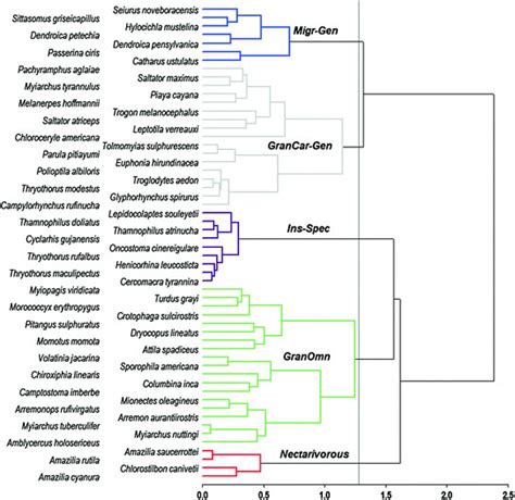 3 Bird Functional Types In Nicaragua Five Groups Of Species Were