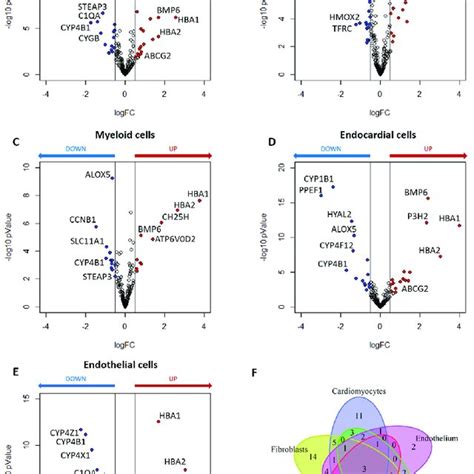 Differentially Expressed Iron Linked Genes Analysis For Specific Cell