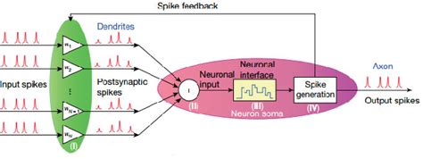 Figure 1 From Optical Neural Network In Free Space And Nanophotonics