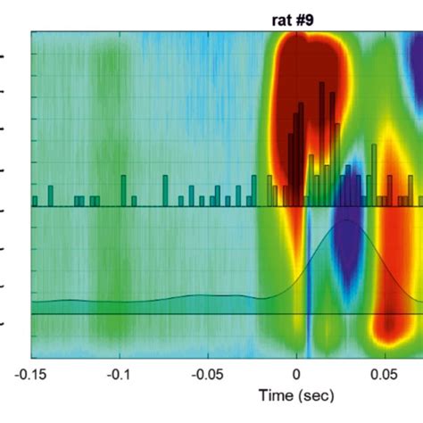 Cortical Analysis Of The Current Source Density Csd During A Single