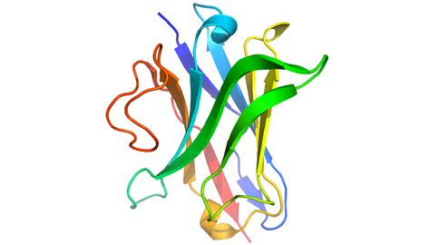 Accelerating Antibody And Nanobody Design For Research Use Cases With