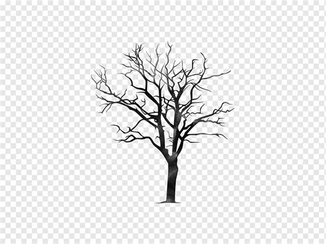 Woody Plant Monochrome Graphy Twig Branch Tree Coconut Tree White Leaf Branch Png PNGWing