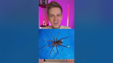 ТЫ БОИШЬСЯ ПАУКОВ Youtube