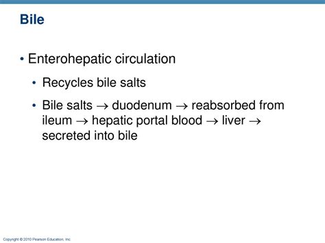 The Digestive System Part B Ppt Download