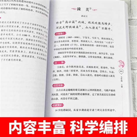 2021初中生背古诗文138篇132篇人教版部编语文课外读本全解天天背七八九年级阅读篇目文言文古诗词大全解特训练书虎窝淘