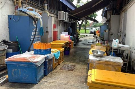 Fish Wholesaler And Its Director Fined For Running Unlicensed Fish