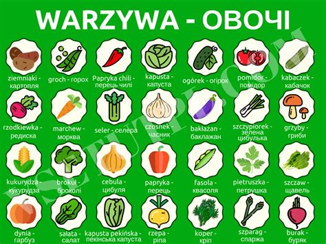 овочі Poland Language Learn Polish Polish Words Gernal Knowledge